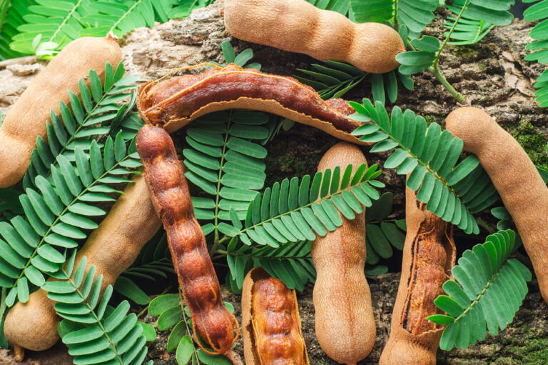 Tamarind Ice - Mamita's Ices